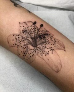 10 Beautiful And Amazing Fine-line Lily Flower Tattoo Designs